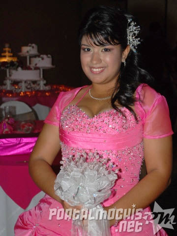XV Años de Itzel Liliana Leal