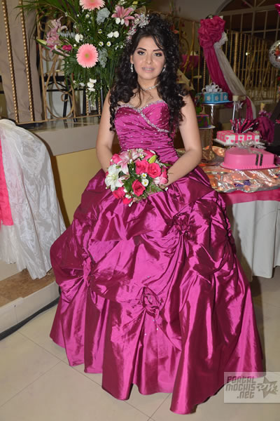 XV Años de Andrea Meraz